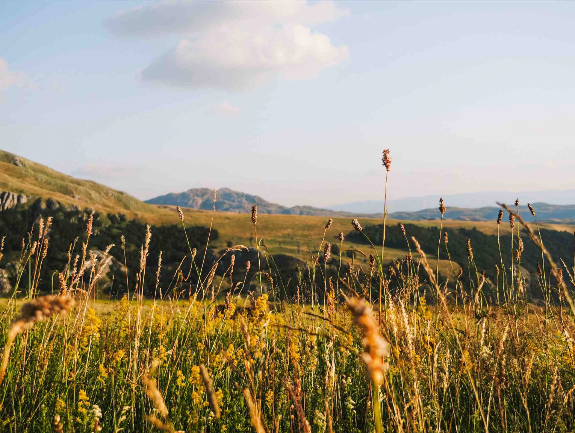 Durmitor Ring, een sprookjesachtige roadtrip door Montenegro - reistop5
