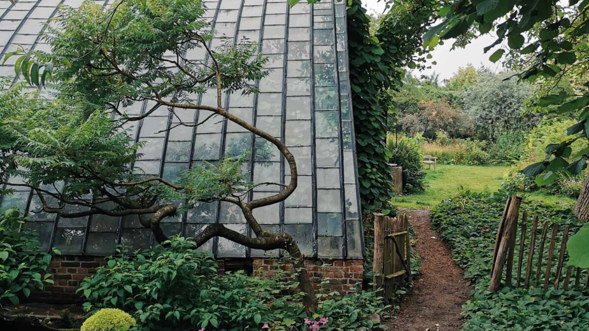 Huize Druivelaar: een hidden gem in het centrum van Breda - reistop5